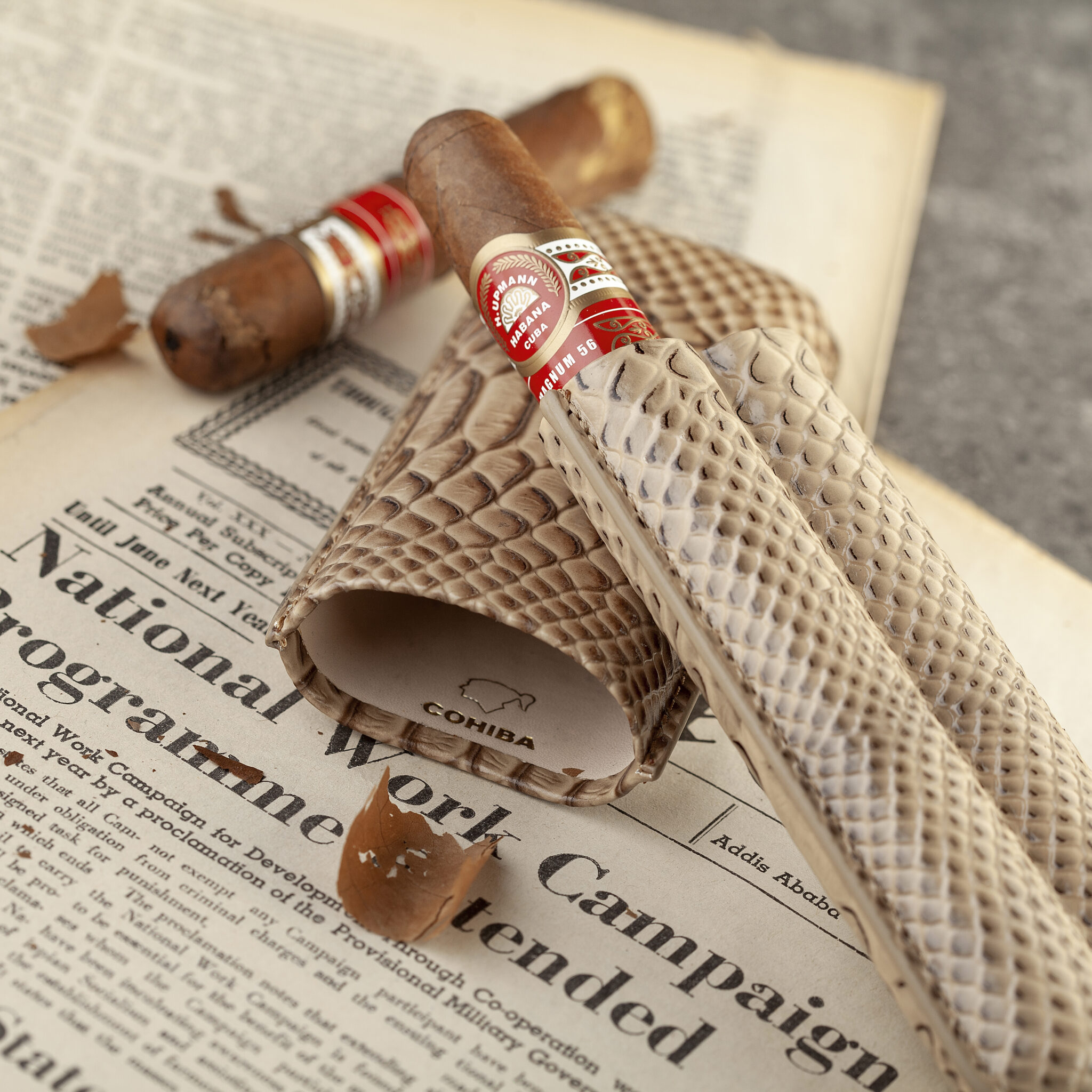 Piksla za Tompus Metal - Ekspedicija